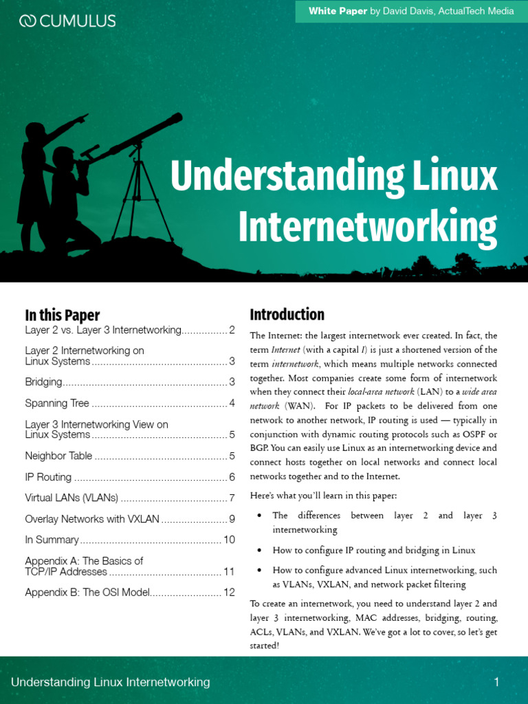 CUMULUS Understanding Linux Internetworking | PDF