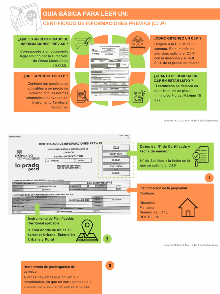Guia Basica para Leer Un CIP | PDF