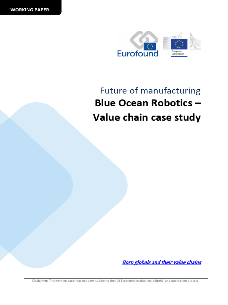 Blue Ocean Robotics Value Chain | PDF