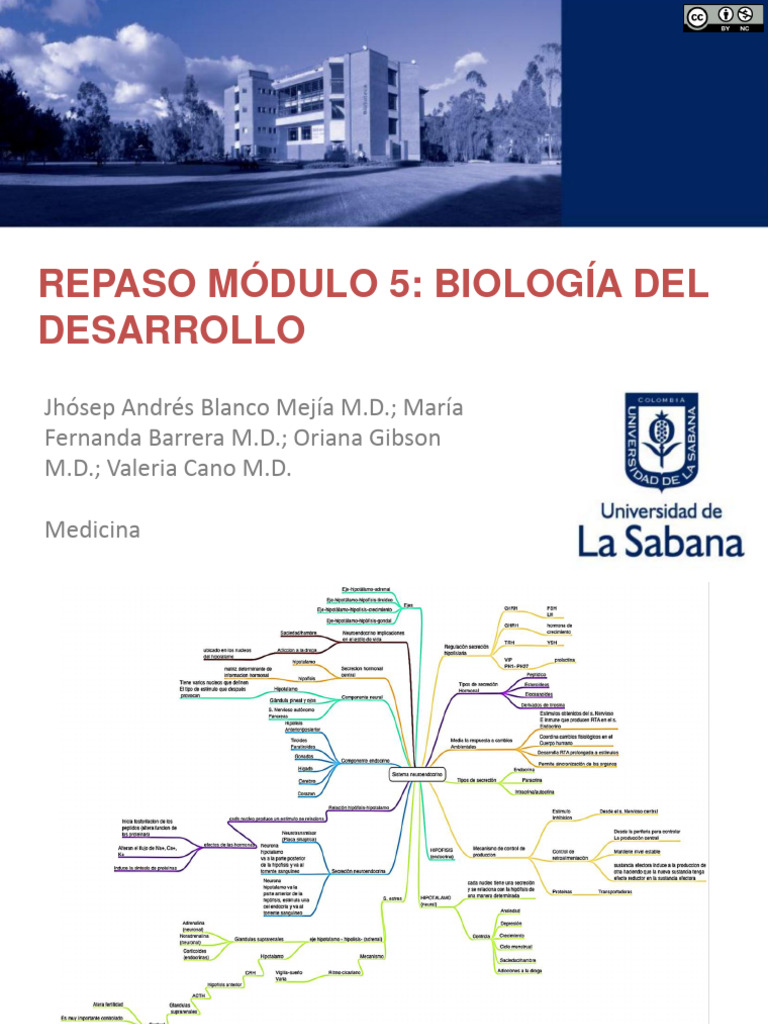 Repaso Módulo 5 | PDF