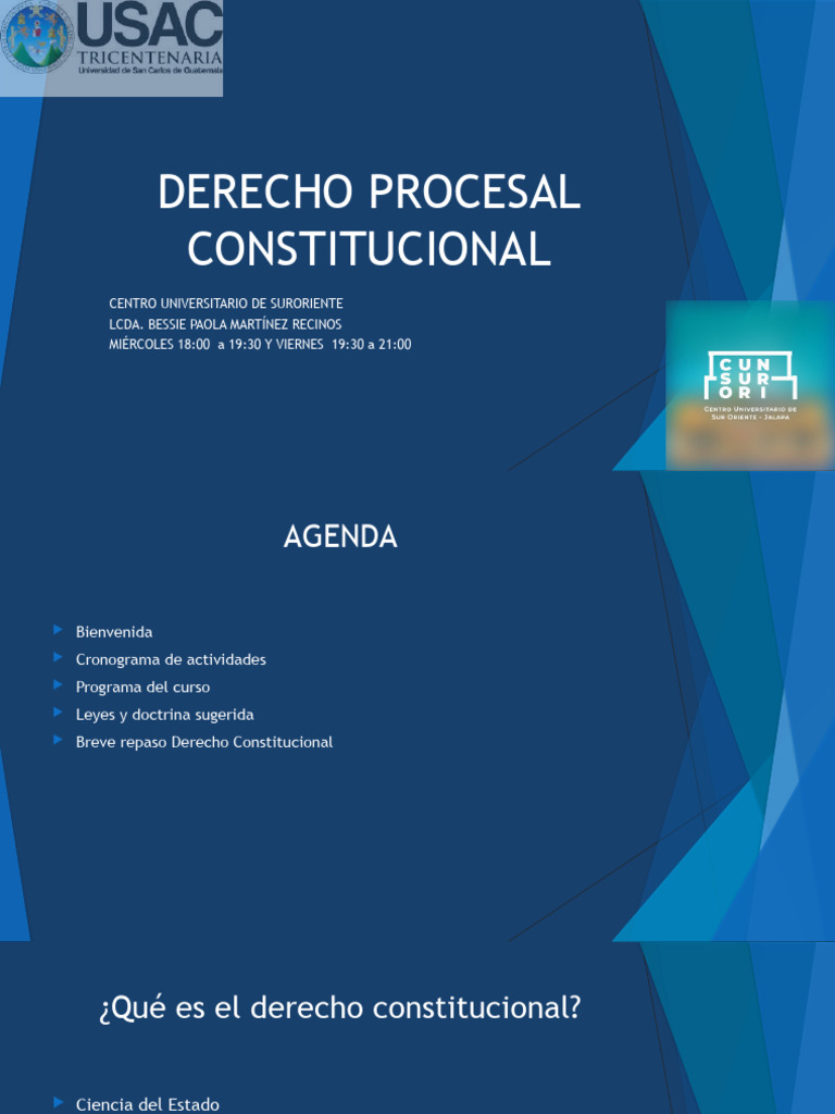 Derecho Procesal Constitucional | PDF | Constitución | Ley procesal