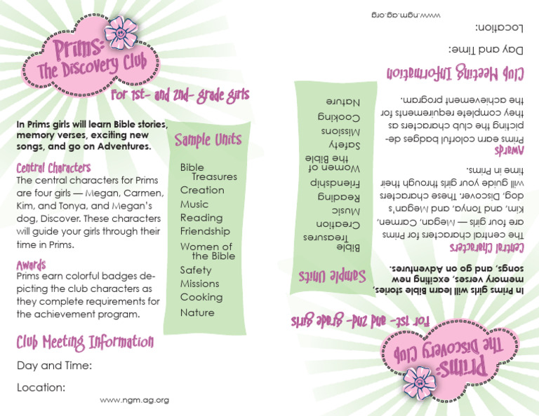 Prims Promotional Flyer | PDF