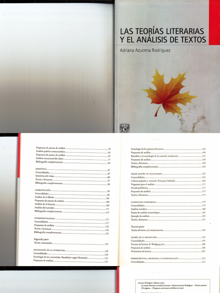 Las Teorías Literarias y El Análisis de Textos | PDF