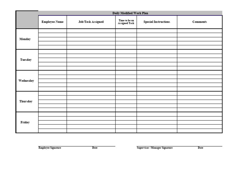 Daily Modified Work Plan Template | PDF