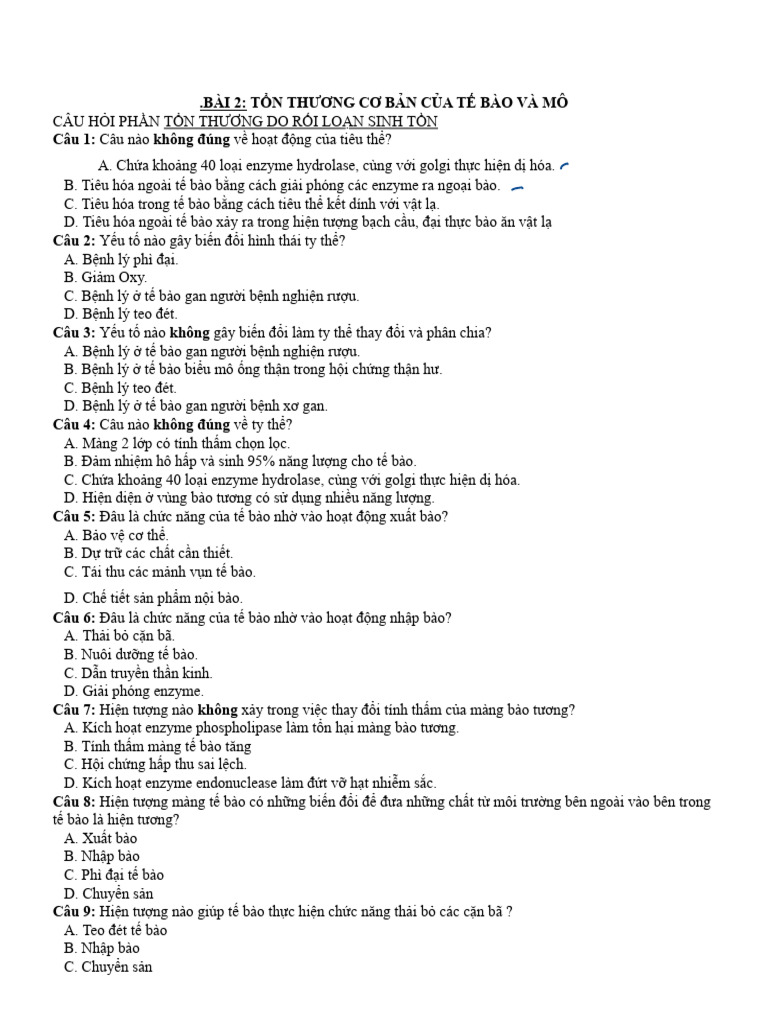 Tổng Hợp Đề Ôn GPB | PDF