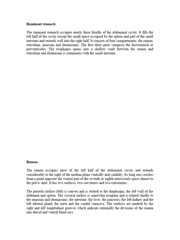 Stomach | Download Free PDF | Abdomen | Anatomy