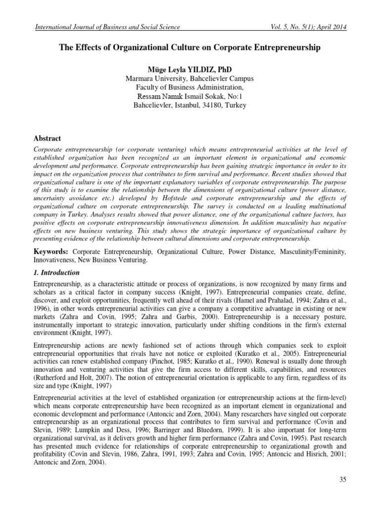 Citation Paper | PDF | Entrepreneurship | Organizational Culture