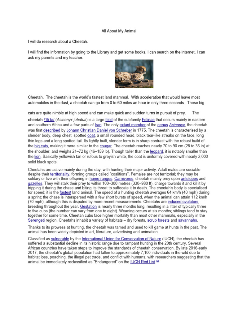 All About My Animal | PDF | Felids | Cats