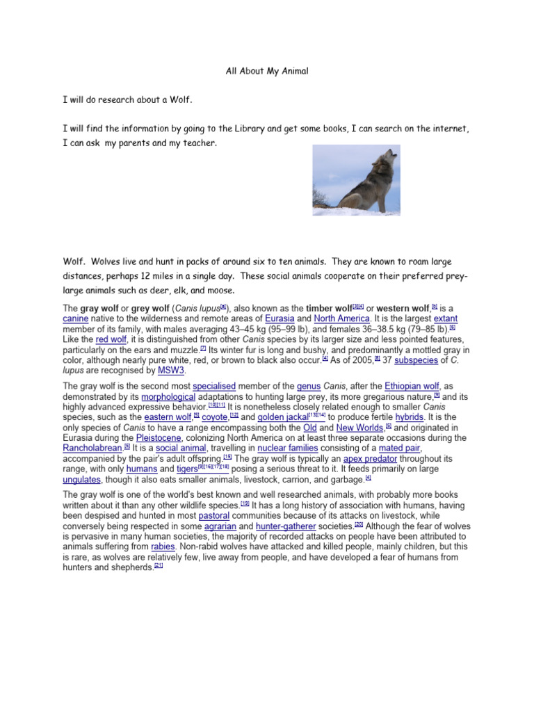 All About My Animal | PDF | Canis | Carnivorous Animals