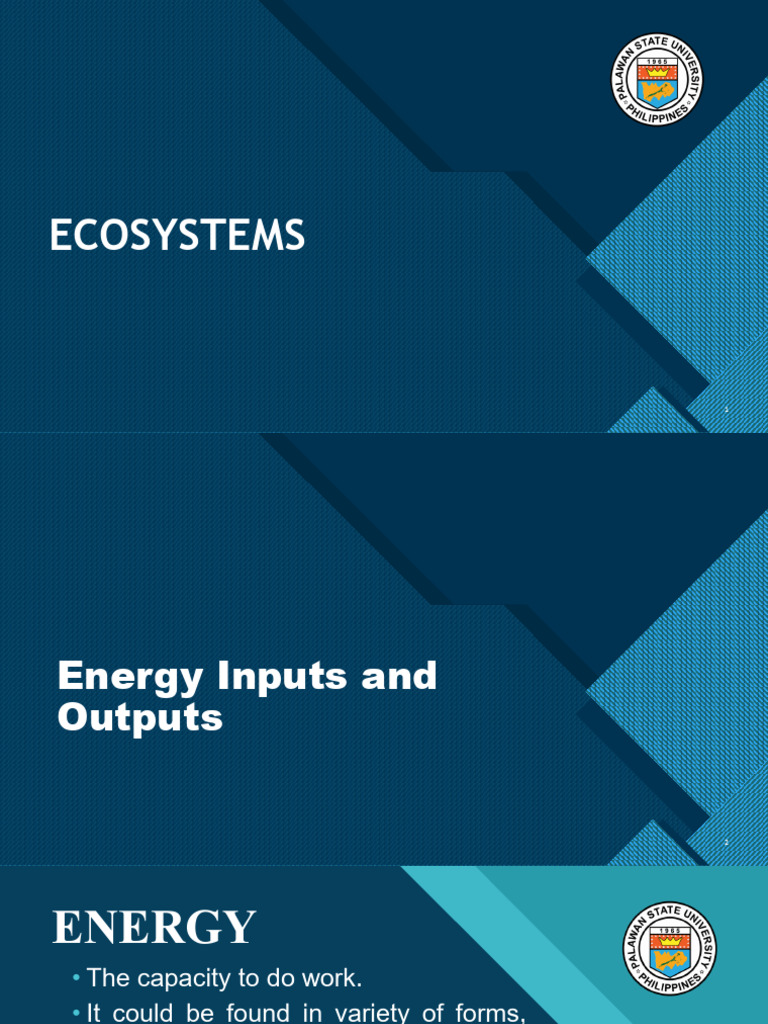 Ecosystems-Energy-Inputs-and-Outputs | PDF