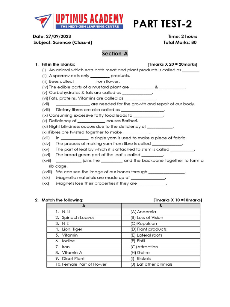 Class 6 Science Test Paper - 27/09/2023 | PDF | Vitamin D | Nutrition