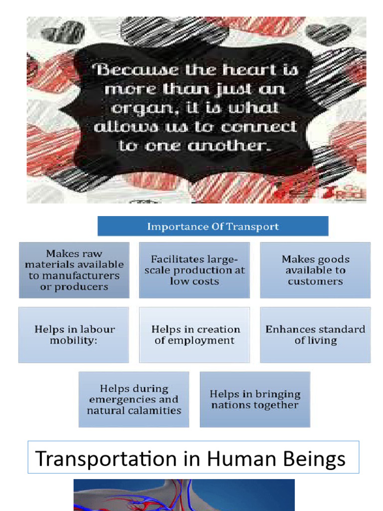 Class-10th Transportation | PDF