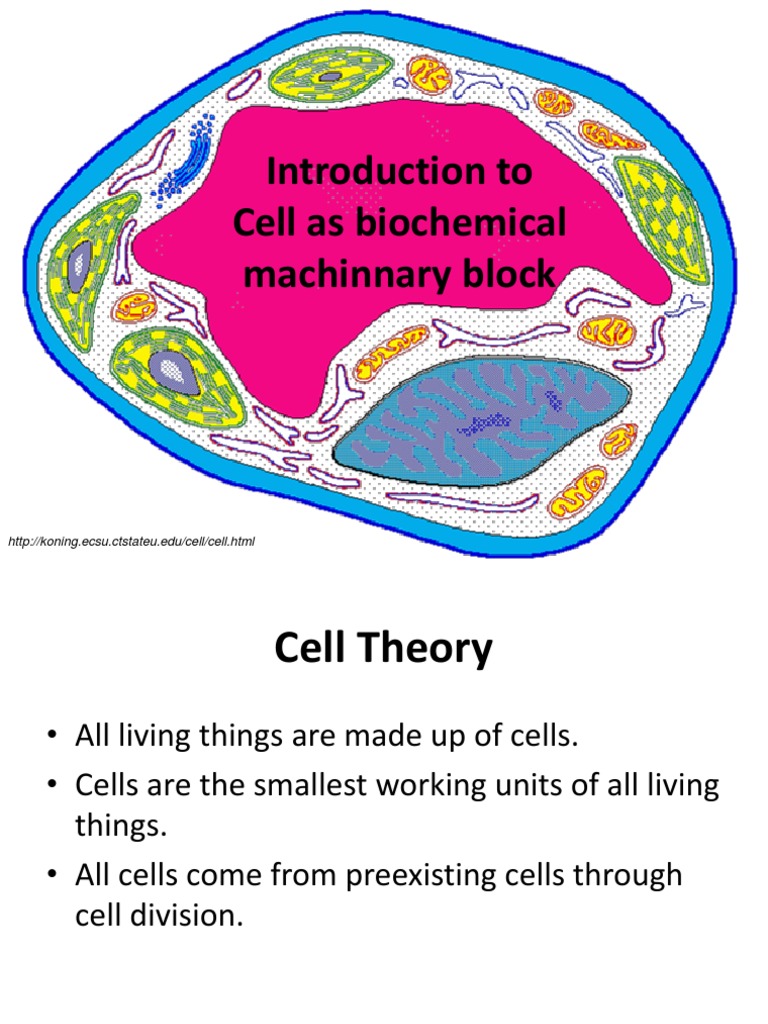 Cell Structure Function | PDF | Cell (Biology) | Organisms