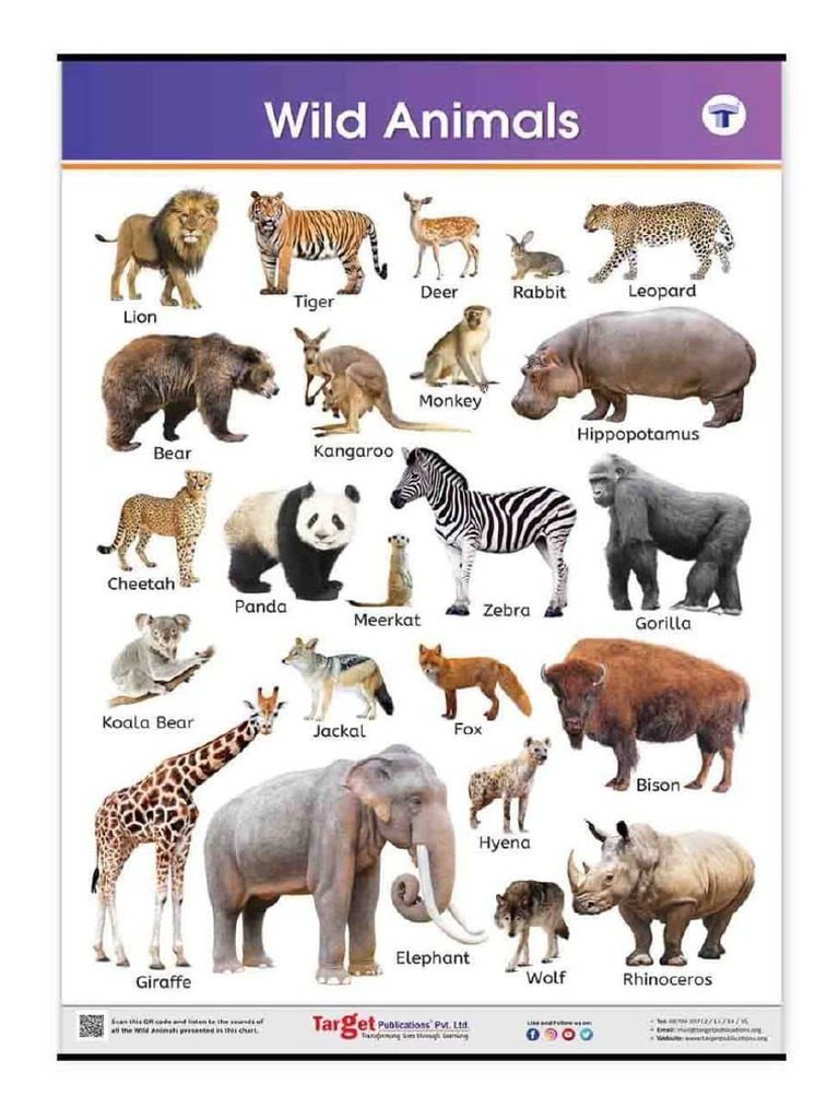 Wild Animals Names | PDF