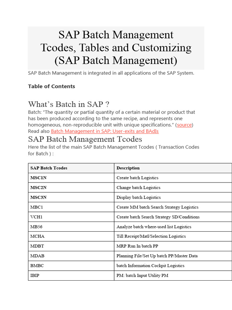 19.SAP Batch Management | PDF