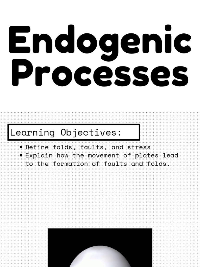 Endogenic Processes | PDF