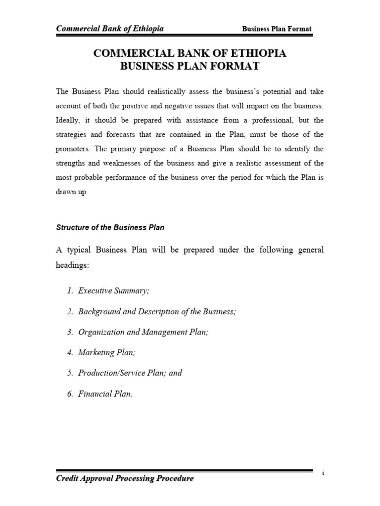 Business Plan Format Commercial Bank | PDF | Loans | Debt