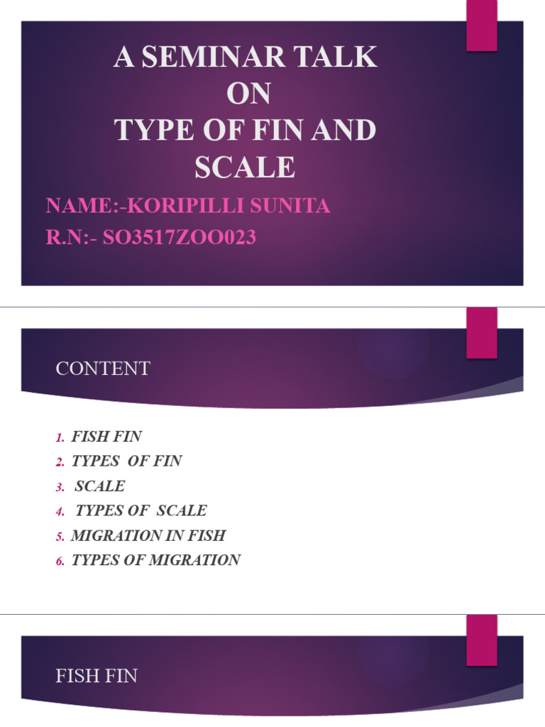 Finand Scale | PDF | Aquatic Animals | Fish