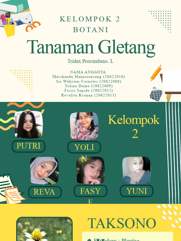 Kelompok 2 Botani | PDF