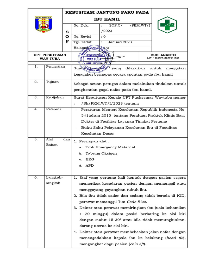 Sop RJP Ibu Hamil | PDF