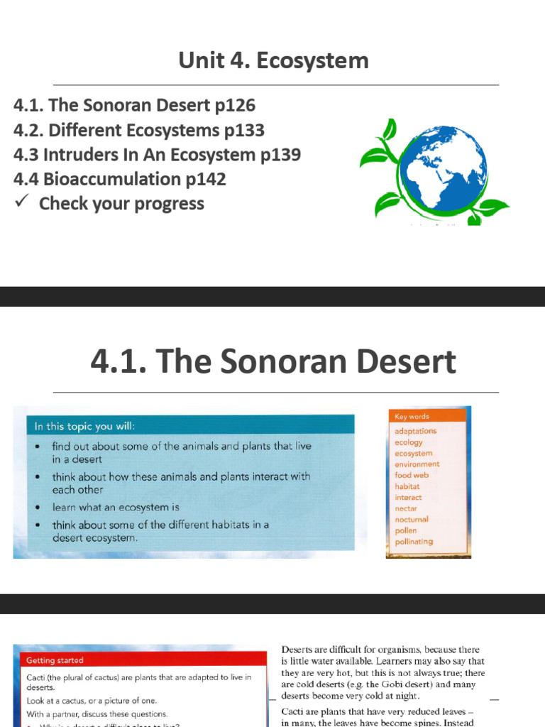 Sonoran Desert Ecosystem Overview | PDF
