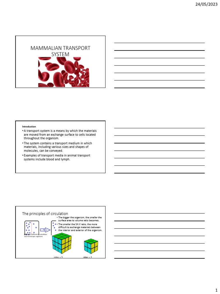 BIO2701 2023 Transport System | PDF | Artery | Vein
