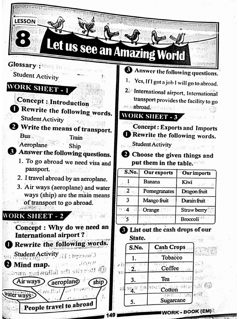 5th EVS Let Us See An Amazing World | PDF