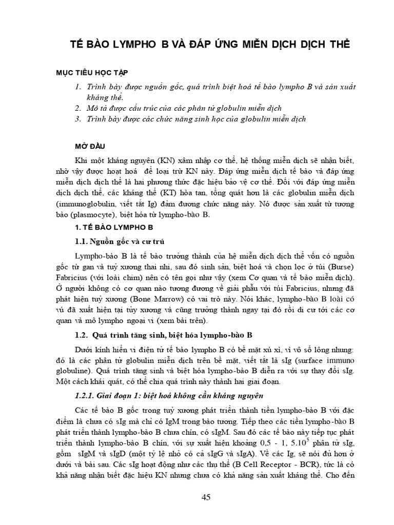Bai6 - Te Bao LYMPHO B Va Dap Ung Mien Dich The | PDF