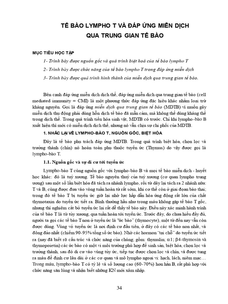 Bai5 - Te Bao LYMPHO T Va Dap Ung Mien Dich TB | PDF