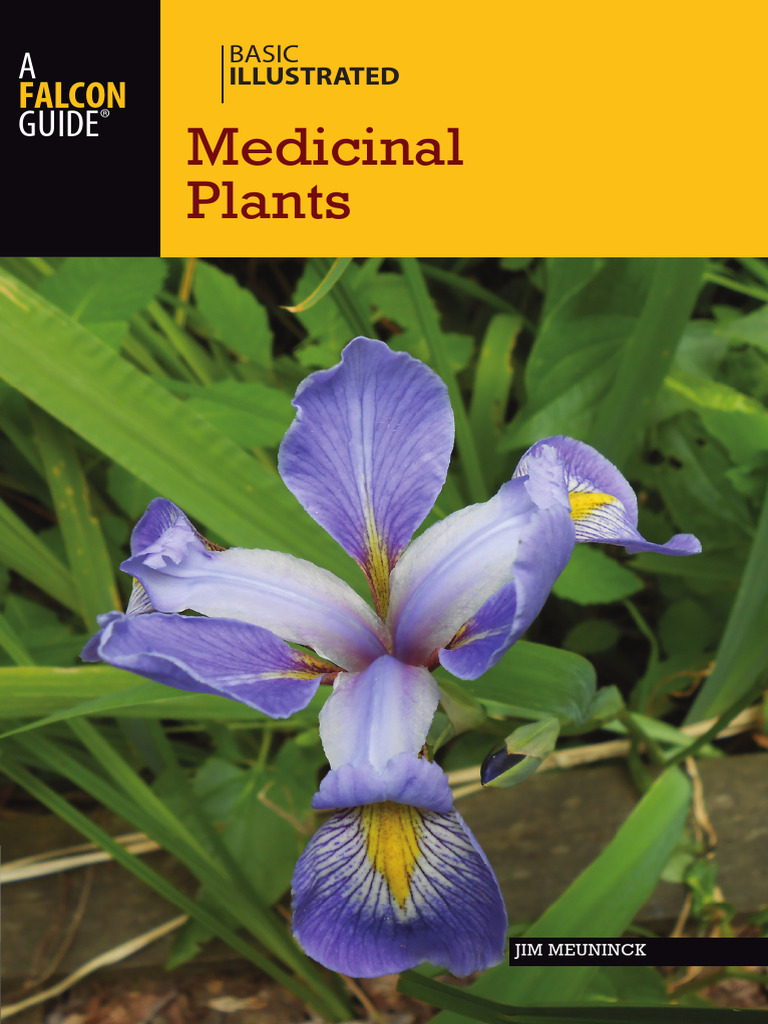 Illustrated Medicinal Plants | PDF