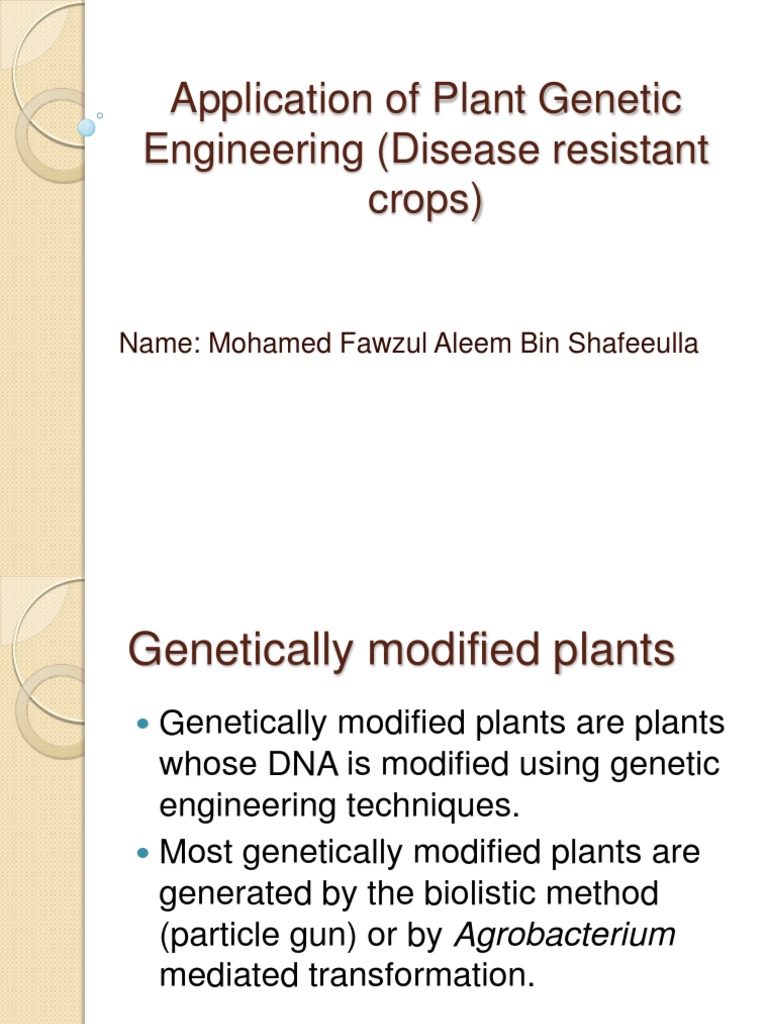 Application of Plant Genetic Engineering (Disease Resistant Crops ...