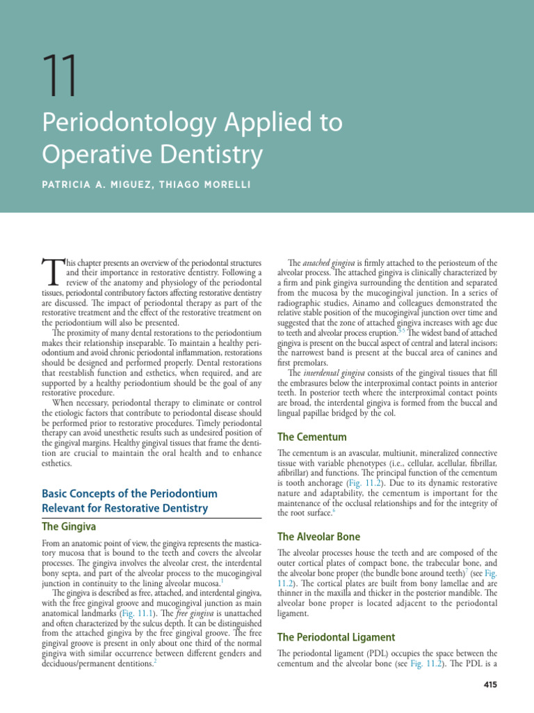 Periodontology Applied To Operative Dentistry | PDF
