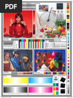 Onyx Quality Test PDF | PDF | Printing | Computer Graphics