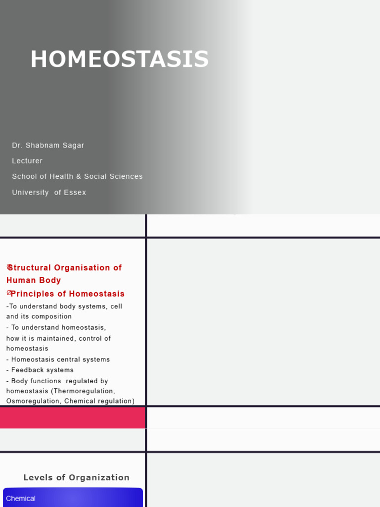 Understanding Human Homeostasis | PDF | Homeostasis | Dehydration