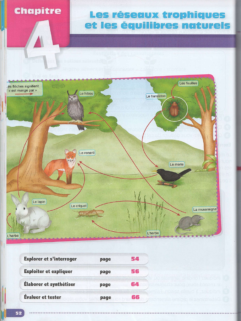 Cours Les-Relations Trophiques Et Les Équilibres Naturels 1AC | PDF