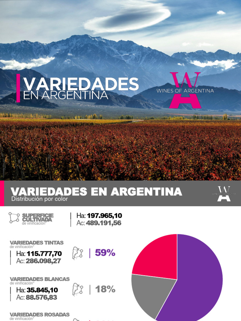 Variedades | PDF | Variedades De Uva De Vino | Uva