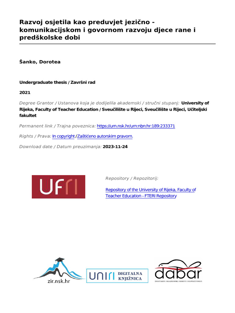 Zavrsni Rad Sanko | PDF