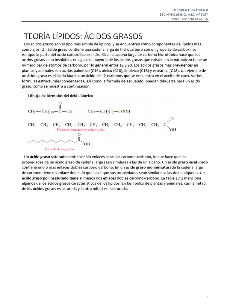 TEORÃ A 1 LÃ PIDOS Ã Cidos Grasos | PDF