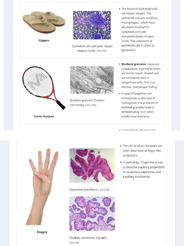 Pathology Spotters | PDF