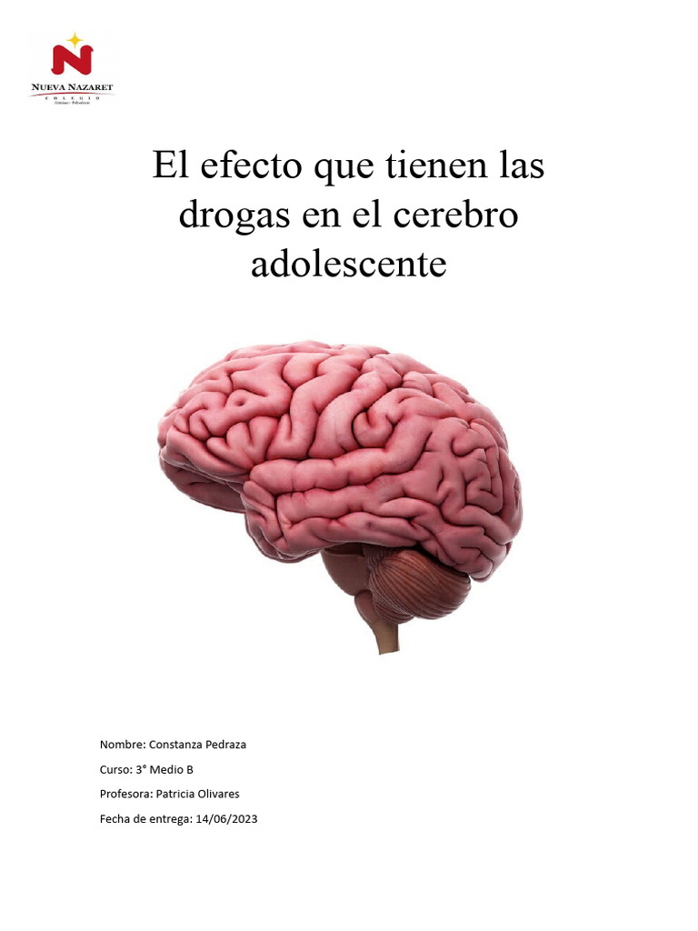 Efectos De Las Drogas En El Cerebro Adolescente Pdf Cerebro
