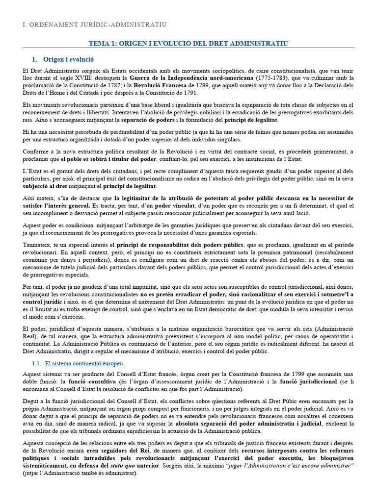 t1 Admin Origen I Evolucio Del DA | PDF