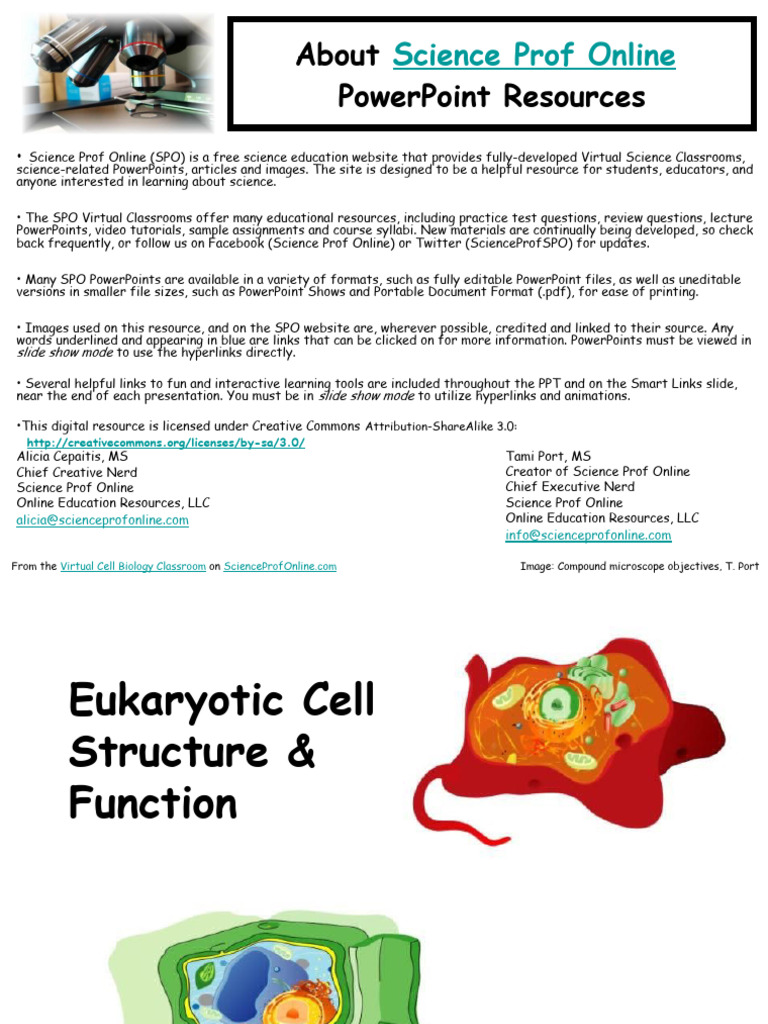 Eukaryotic Cell Structure Function Lecture PowerPoint VCBC | PDF | Cell ...