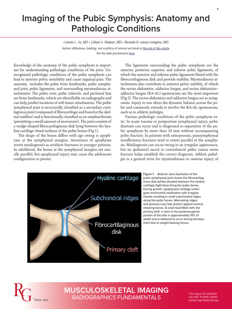 Connie C So Imaging of The Pubic Symphysis Anatomy and | PDF | Pelvis ...
