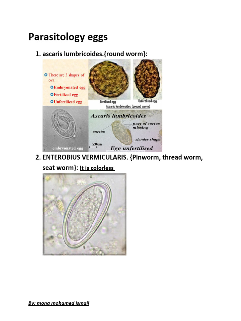 Parasite Egg Identification Guide | PDF