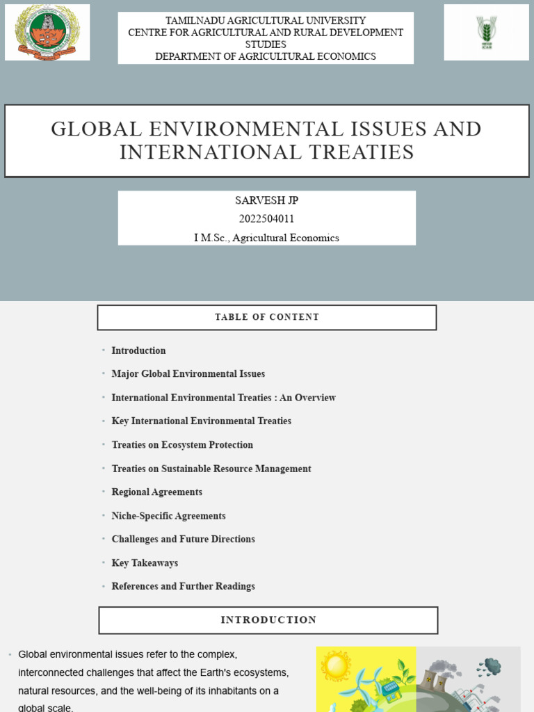 Global Environmental Issues and International Treaties | PDF ...