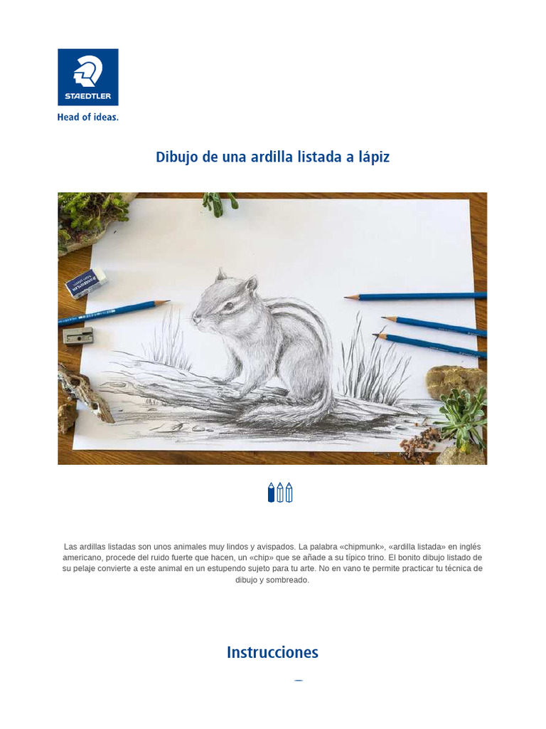 Dibujo de Una Ardilla Listada A Lapiz | PDF | Dibujo | Lápiz