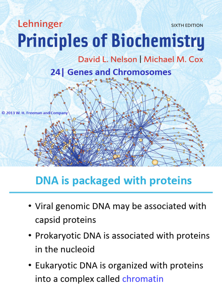 Genome Organization in Eukaryots | PDF | Dna | Histone