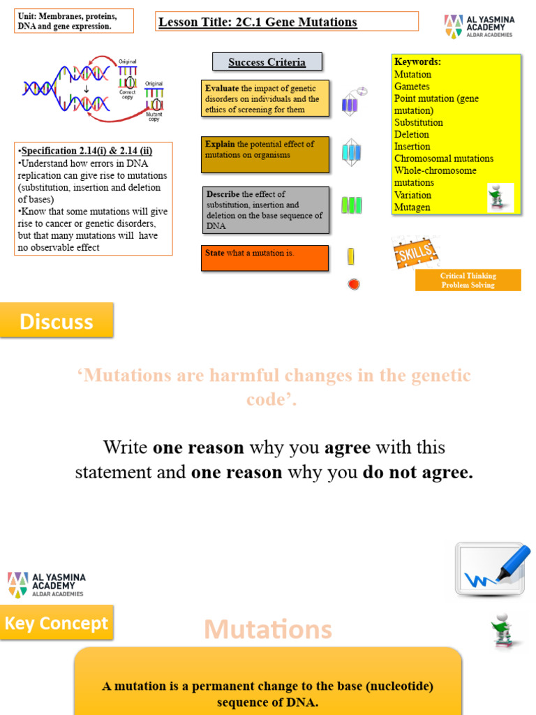 2C.1 Mutations | PDF | Mutation | Point Mutation