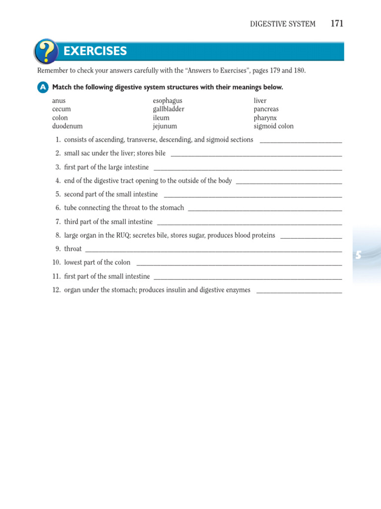Chapter 5 Exercises | PDF | Gastrointestinal Tract | Human Digestive System Chapter 5 Exercises | PDF | Gastrointestinal Tract | Human Digestive System