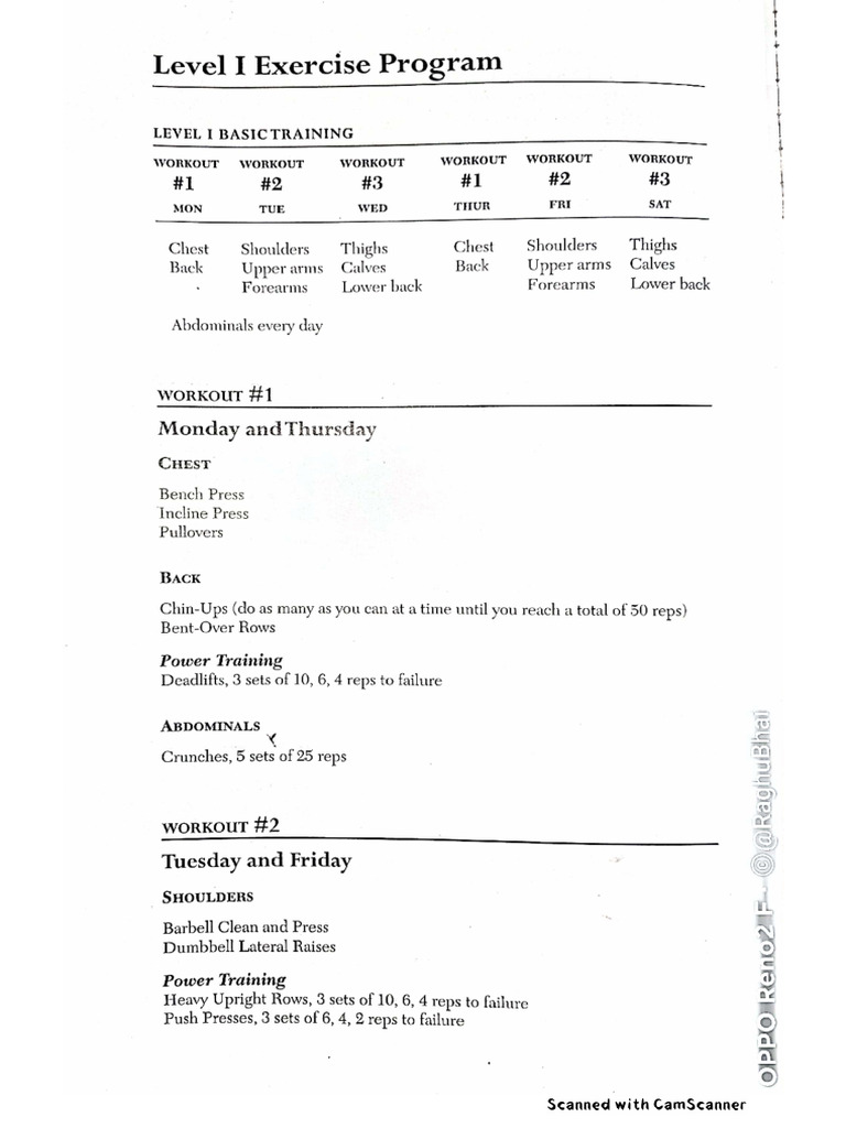 The Basis Training Program Pdf